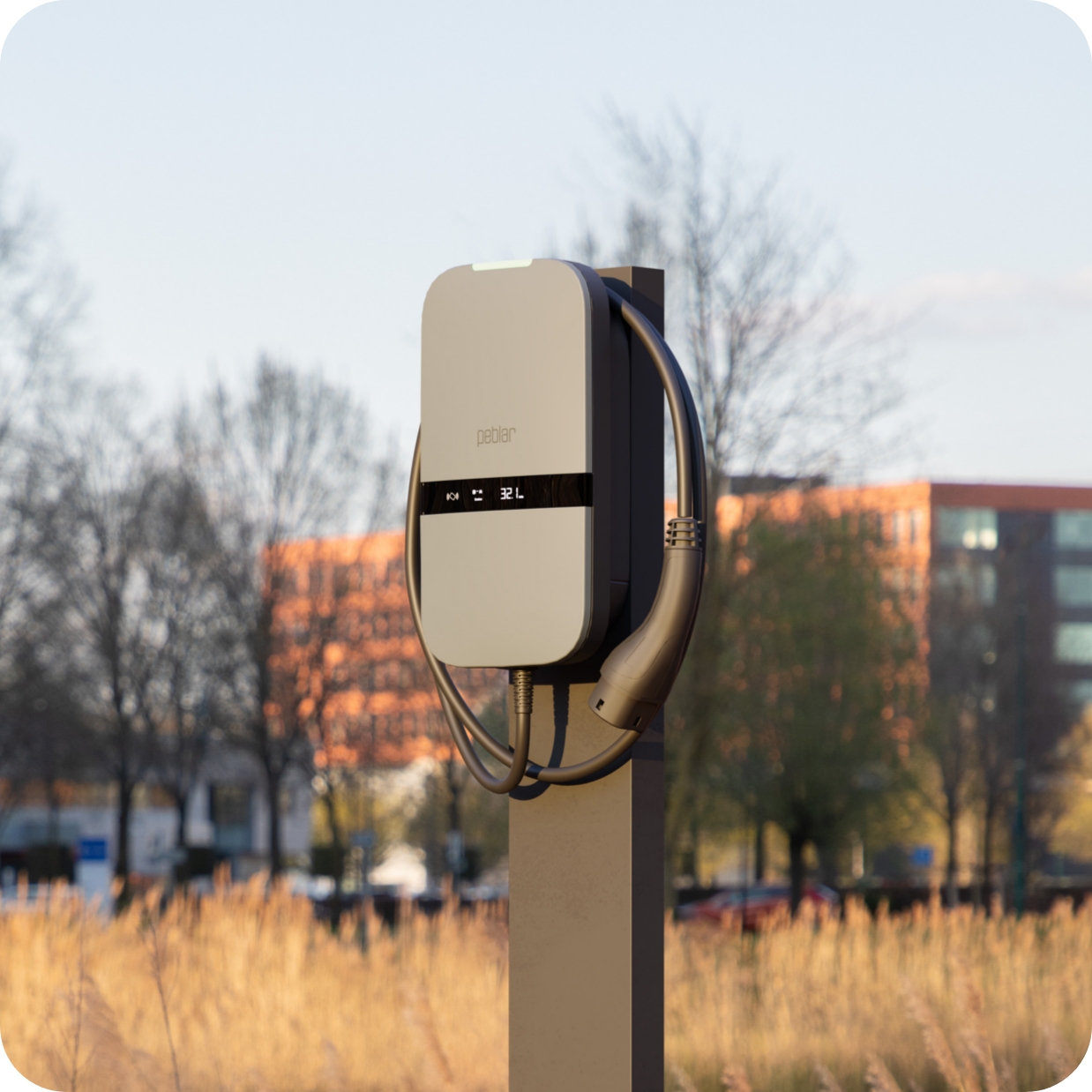 Accessories | Peblar